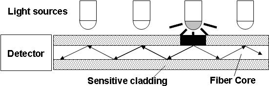 UNIQUE OPTICAL FIBER SENSOR